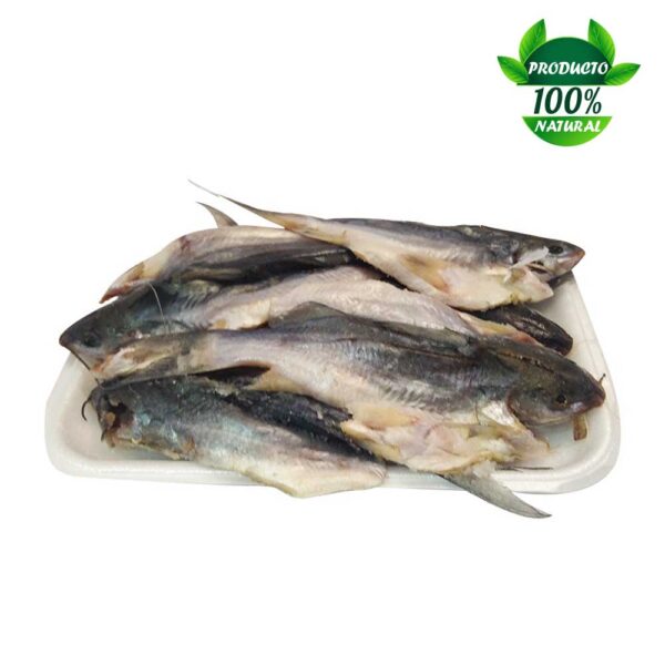 Pescados y carnes archivos - Ricura Costena